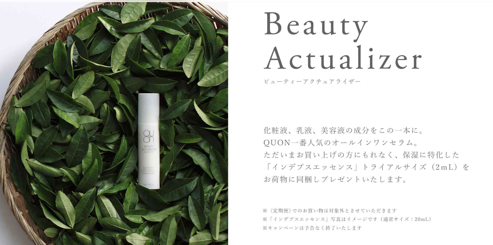 アクチュアライザー購入でミニオイルプレゼント！ – クレコスハウス